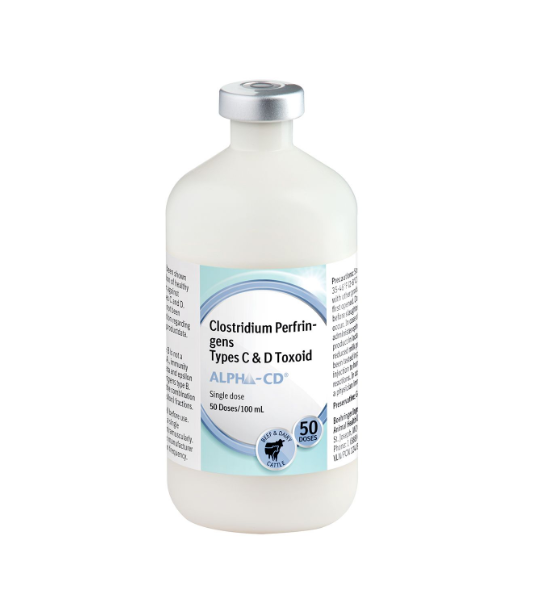 Alpha CD Cattle Vaccine – Midwest Veterinary Service