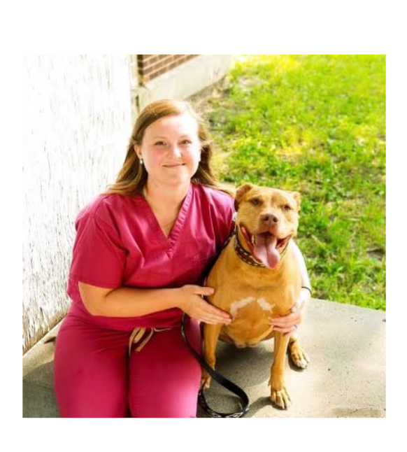 Meet Midwest Vet – Midwest Veterinary Service
