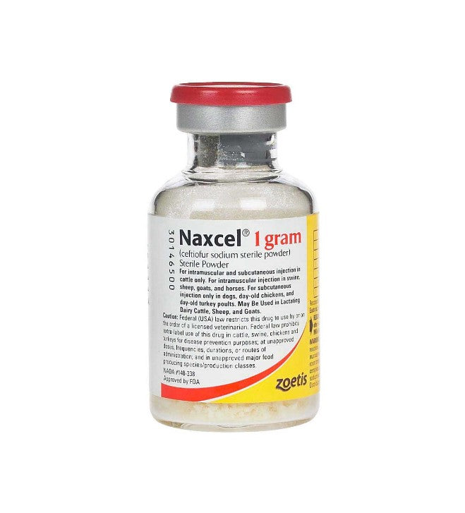 Naxcel for Multiple Species of Animals – Midwest Veterinary Service