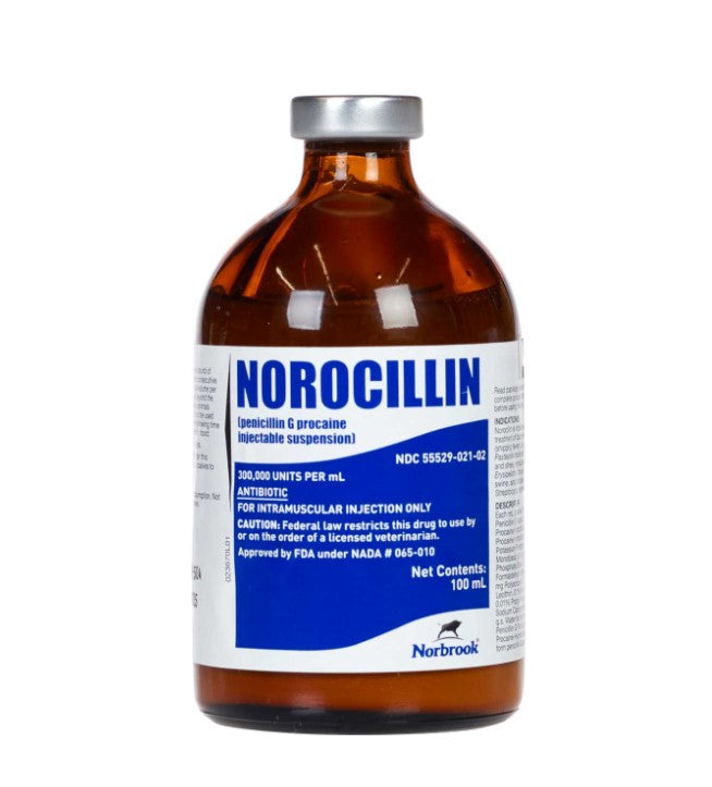 Penicillin G Procaine Injectable for Cattle, Sheep, Swine and Horses ...