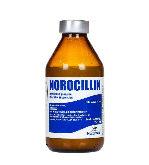 Penicillin G Procaine Injectable for Cattle, Sheep, Swine and Horses ...